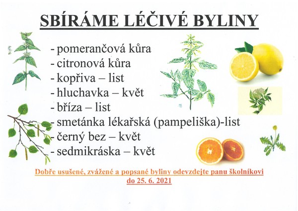 Sbíráme léčivé byliny | Základní škola Náměšť nad Oslavou